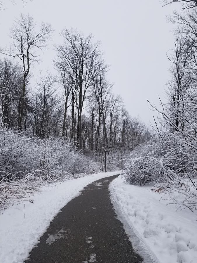 Snowy Winter Pathway stock image. Image of winter, snow - 240628839
