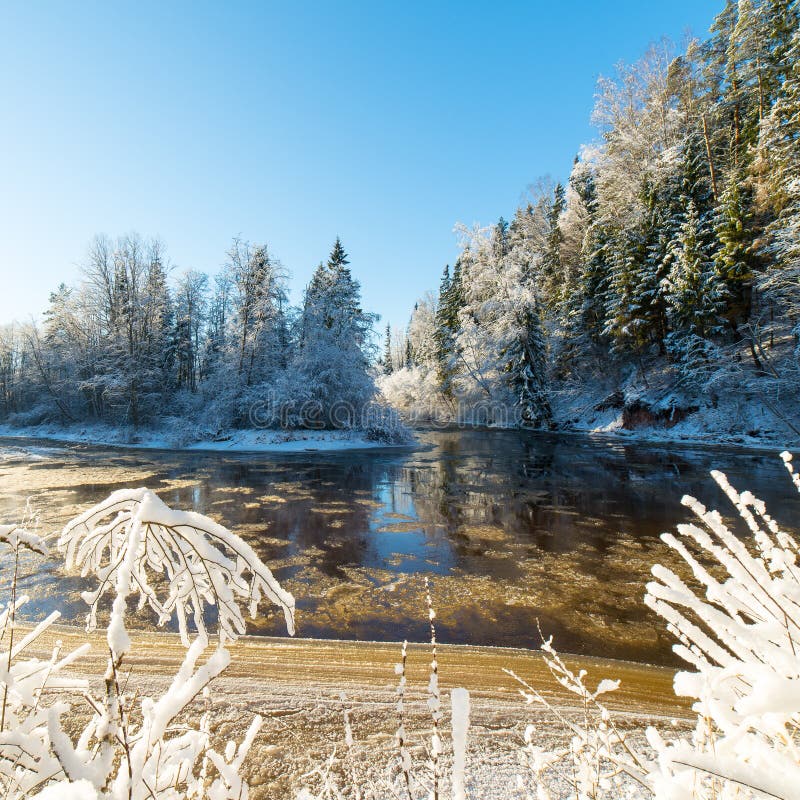 Snowy Winter River Landscape with Snow Covered Trees Stock Photo ...