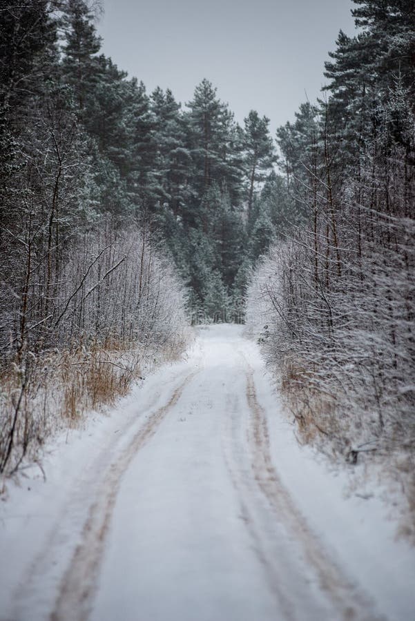 Snowy Winter Road Covered in Ice and Snow Stock Photo - Image of ...
