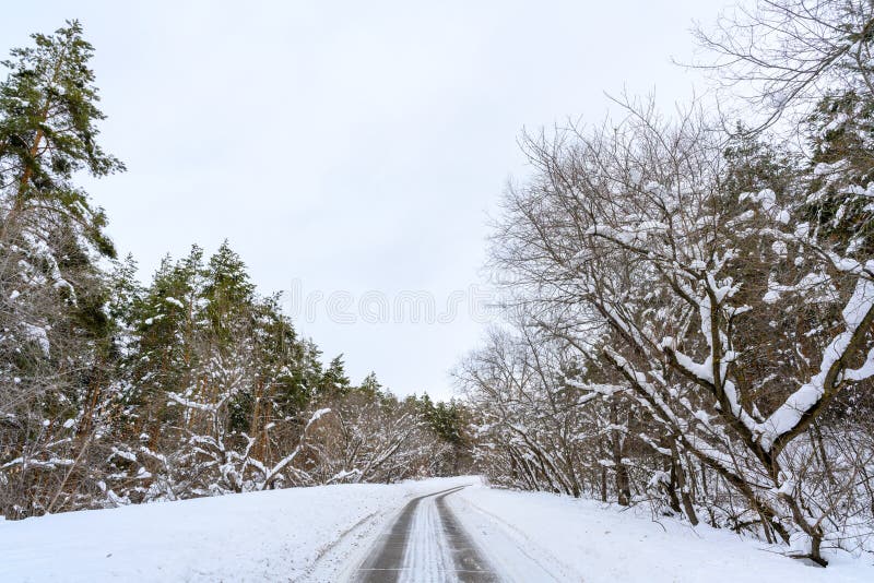 Snowy Winter Road in a Mountain Forest. Stock Image - Image of cold ...