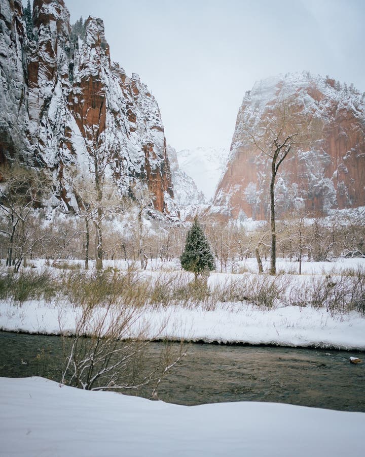 Snowy Winter Scene Along the Virgin River, Utah Stock Photo - Image of ...