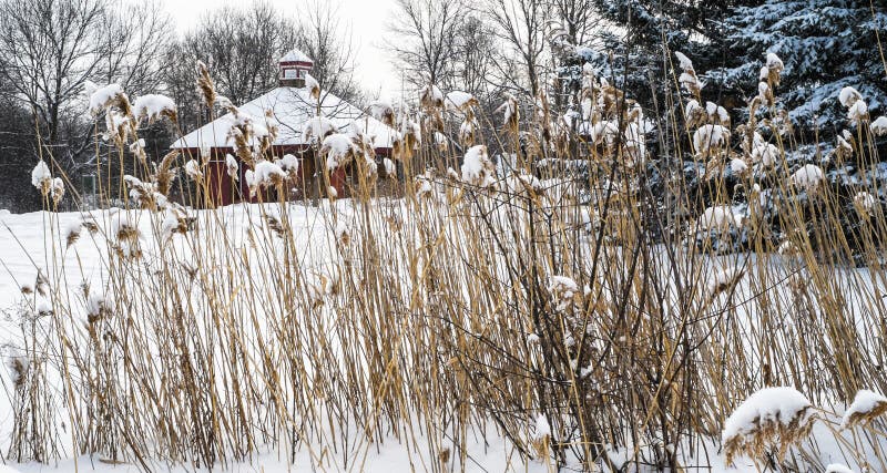 Snowy Winter scene stock image. Image of blue, cold, rural - 50619273