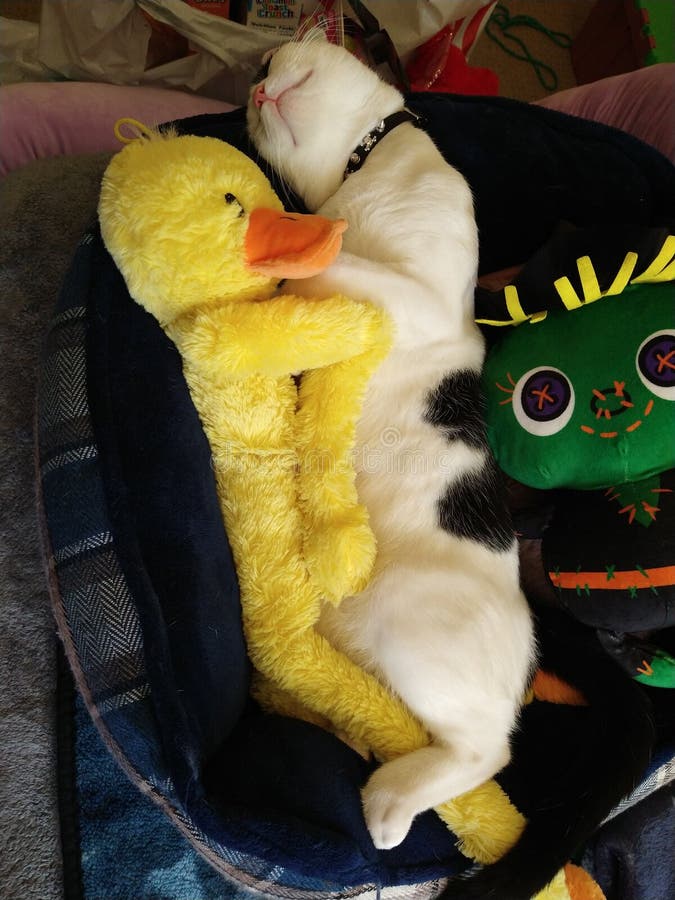 The Snuggle Duck stock photo. Image of crochet, animal - 199318030