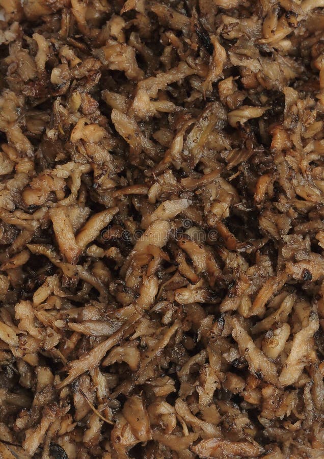 Soaked sugar beet shreds stock image. Image of animalfood - 34368113