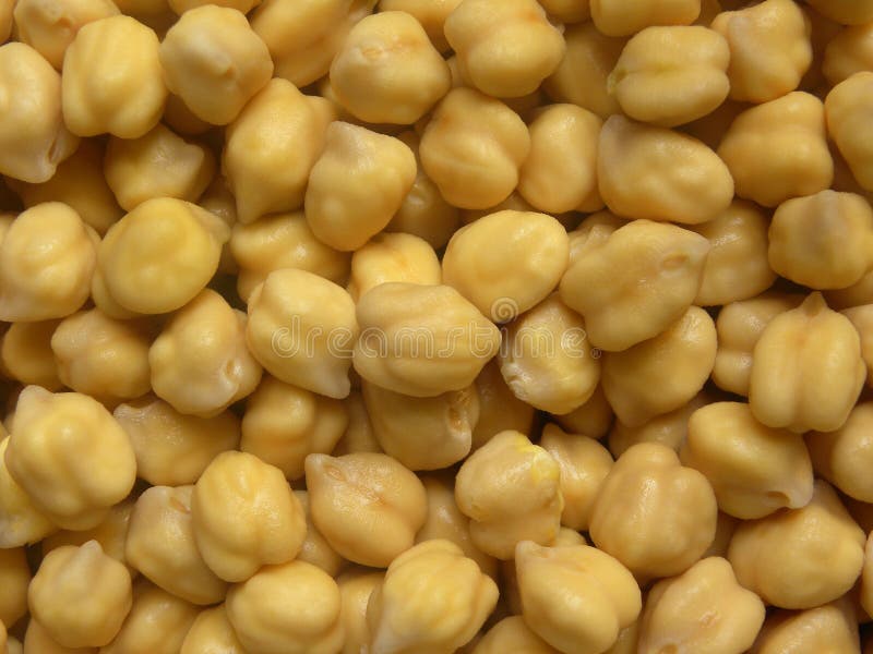 Soaked yellow Chickpeas stock image. Image of background - 195702157