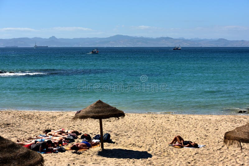 Soaking Up the Sun on the Beach Stock Image - Image of watching, stone ...