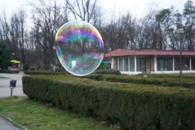 Soap Balloon in the Park. Photo during the Day. Stock Image - Image of ...