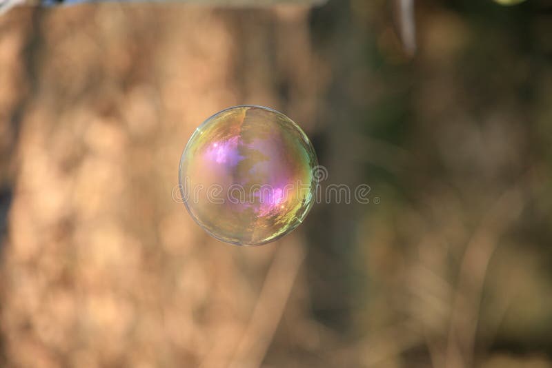 Blurred forest stock image. Image of natural, green, summer - 2751059