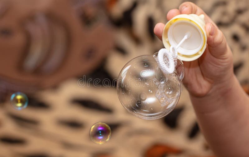 Soap bubble in the hand. stock photo. Image of studio - 216789818