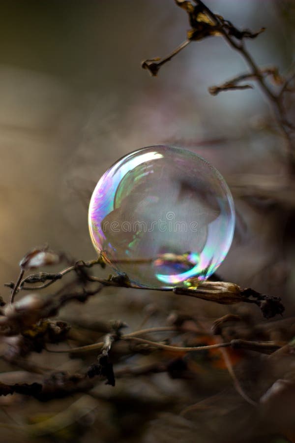 Bubble stock photo. Image of light, cold, flowing, beauty - 137408242