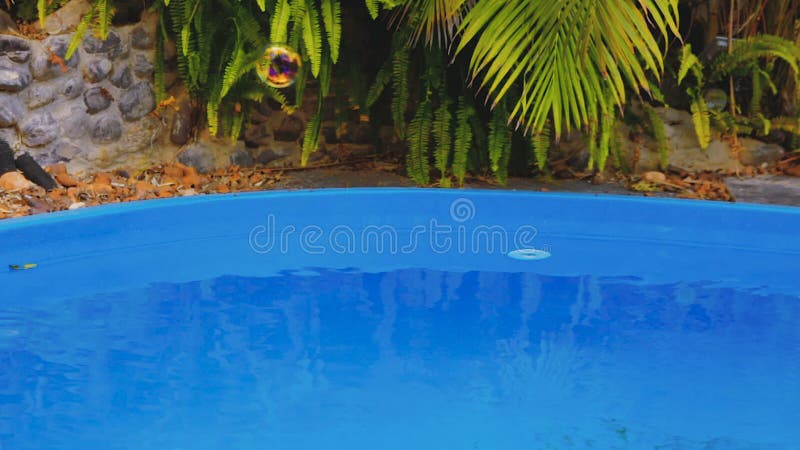 Soap Bubbles Fly Over a Swimming Pool and Jumping on the Water Stock ...