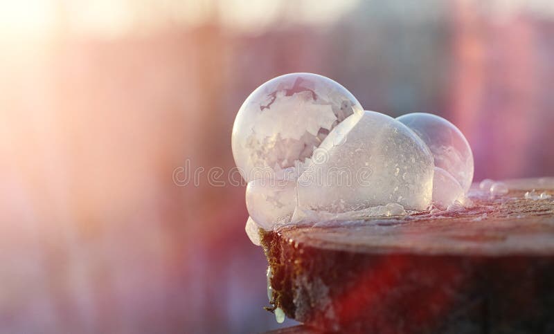 Soap Bubbles Freeze in the Cold. Winter Soapy Water Freezes in the Air ...
