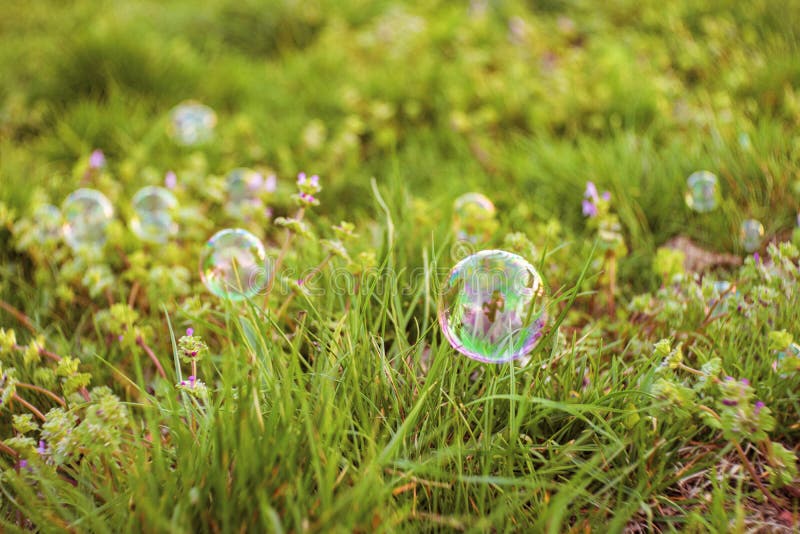 Soap Bubbles on Green Grass in Spring Garden Stock Image - Image of ...