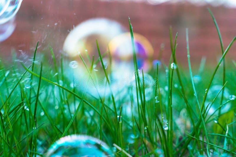 Soap Bubbles on Green Spring Grass with Beautiful Blurred Background ...