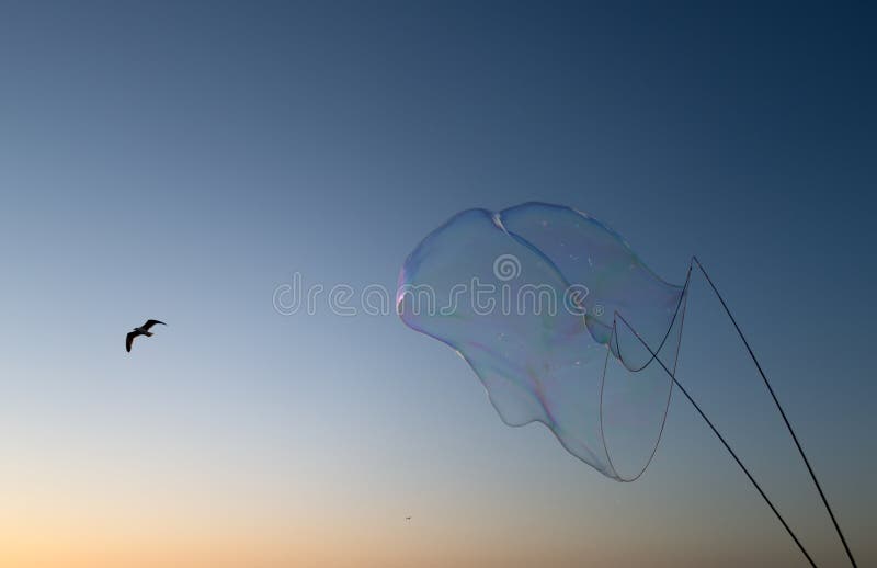 Soap Bubbles with Rainbow Reflection. Buble at the Blue Sky. Bubble ...