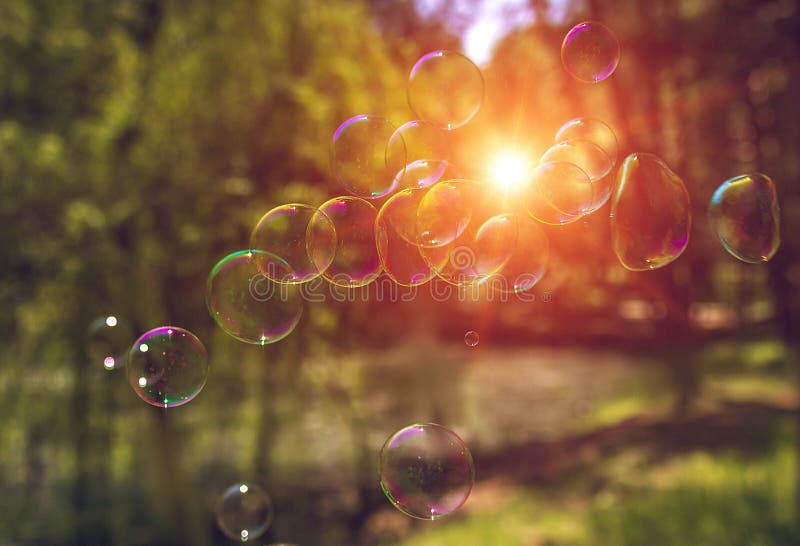 Soap Bubbles into the Sunset with Beautiful Bokeh.close-up Stock Image ...
