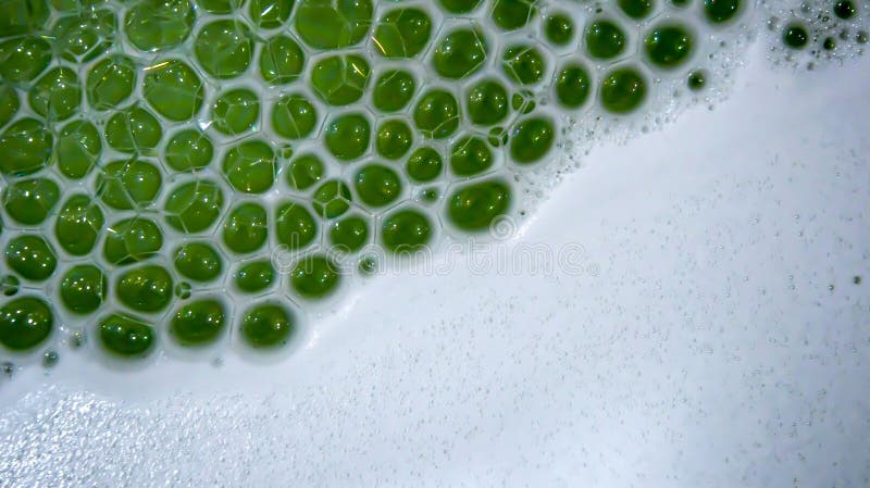 Soap Bubbles in a Tub of Water, Stock Image - Image of soap, mockup ...
