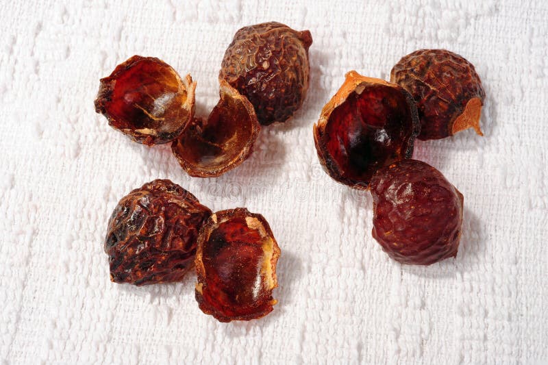 Soap nuts stock image. Image of cleaning, environmental - 44398937