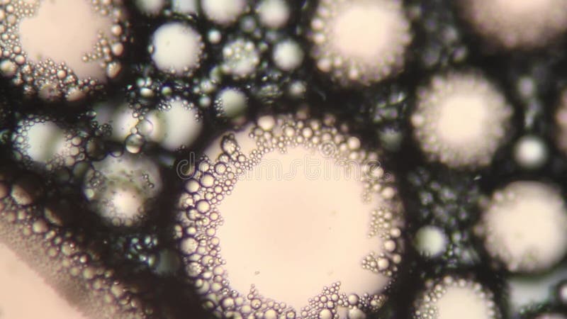 Soap and oil stock video. Video of mixed, nature, mixture - 238073617