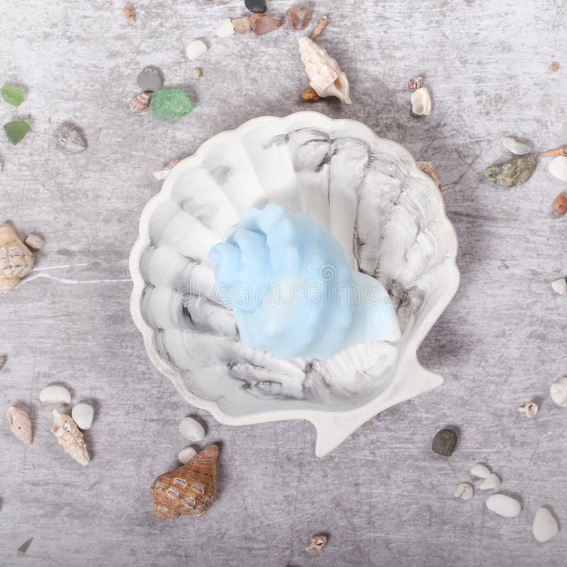 Soap in the Shape of a Shell Lies on the Soap Dish. Stock Image - Image ...