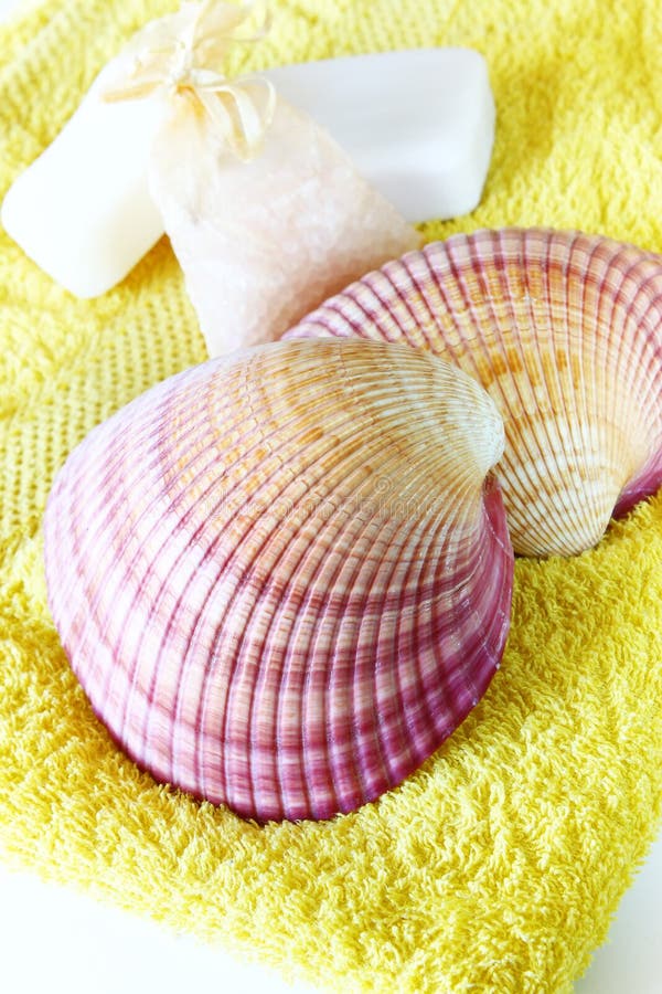 Soap and sponge on towel stock image. Image of nature - 22702079