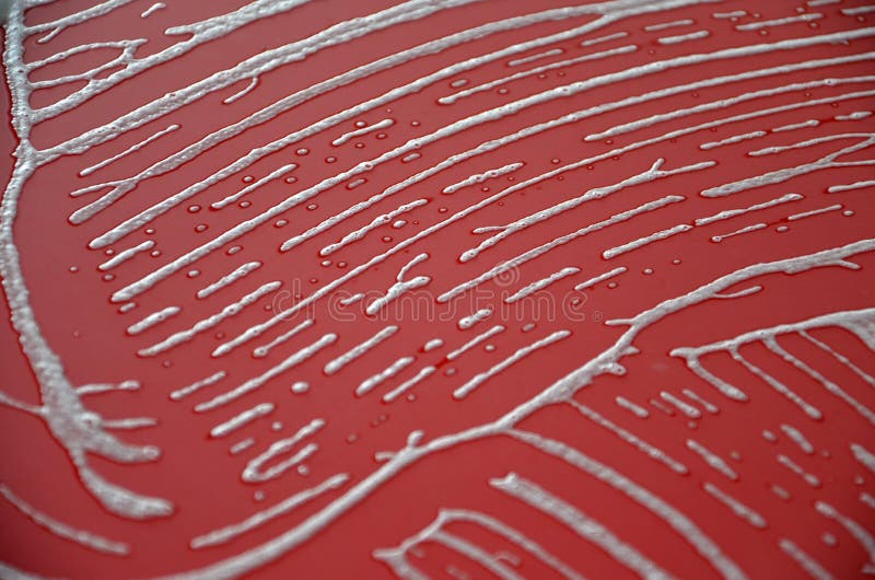 Soap suds stock photo. Image of foam, closeup, water - 41602298