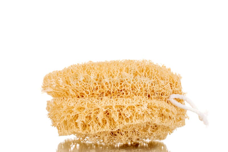 One Shower Sponge Made of Loofah, Close-up, Isolated on White. Stock ...