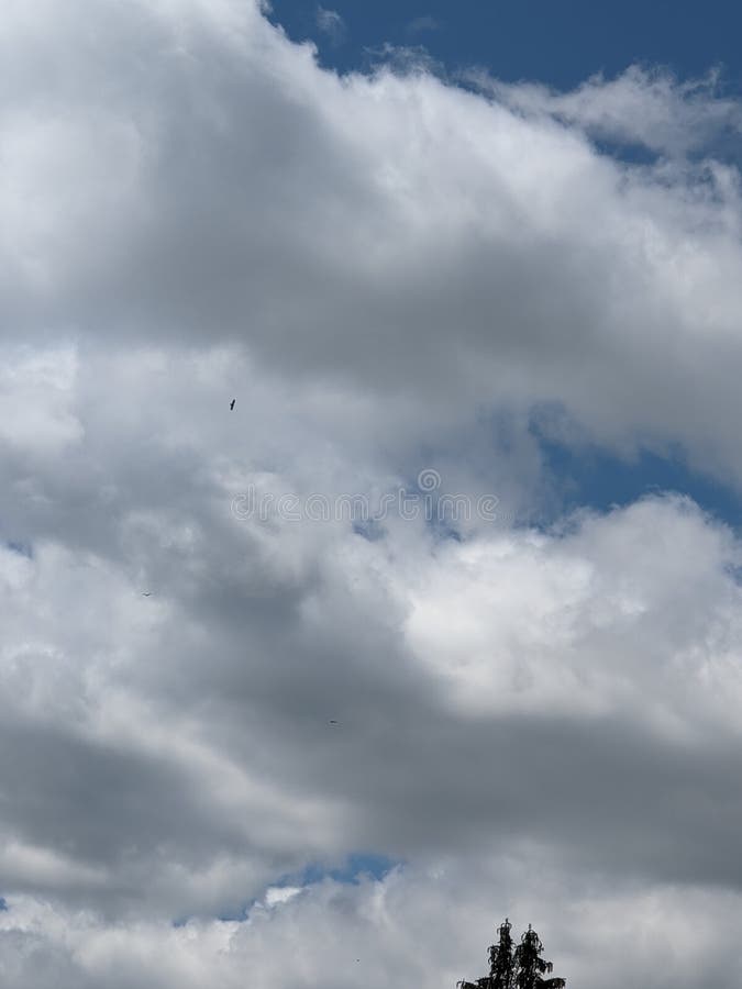 Soar High Above Average stock photo. Image of daytime - 226317590