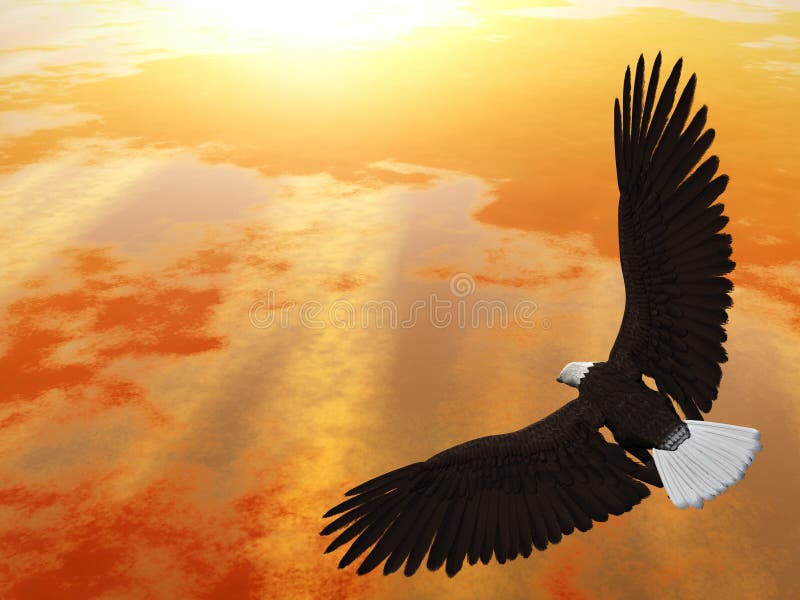 Soaring Eagle stock illustration. Illustration of powerful - 9970599
