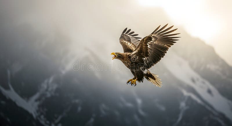 Soaring Eagle in Flight Over Snowy Mountains Stock Photo - Image of ...