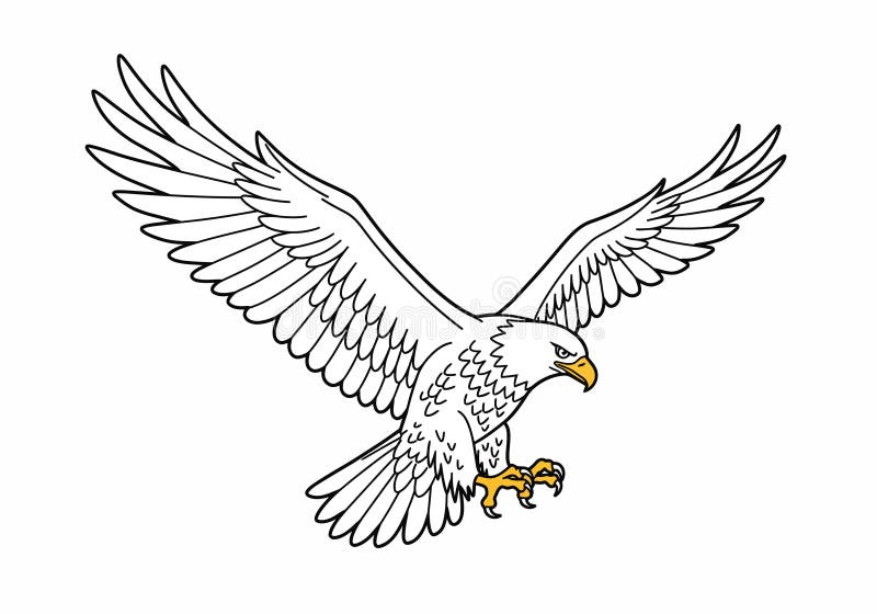 Soaring eagle line art stock vector. Illustration of talons - 365471339