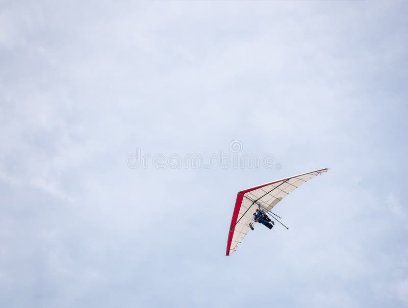 Soaring Pair editorial photo. Image of leisure, action - 94541021