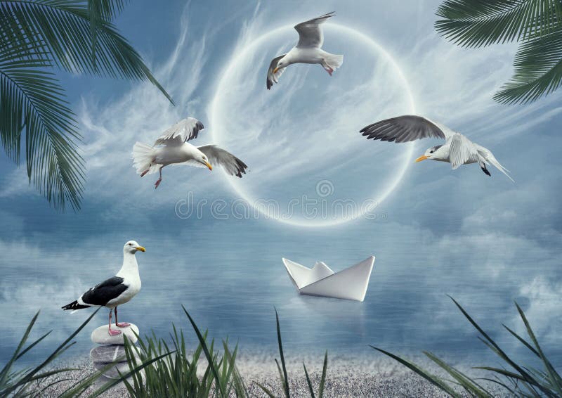 Soaring Seagulls Above the Water Stock Photo - Image of nature, river ...
