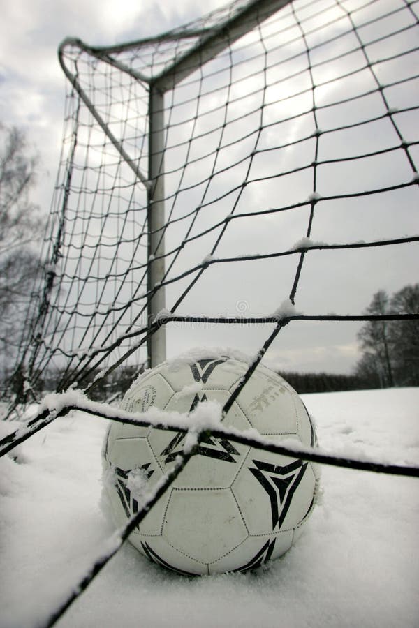 Soccer stock photo. Image of goal, professional, snow - 11311154
