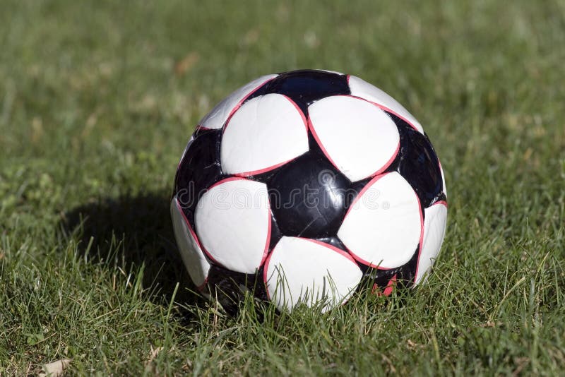 Soccer Ball Picture. Image: 1248055