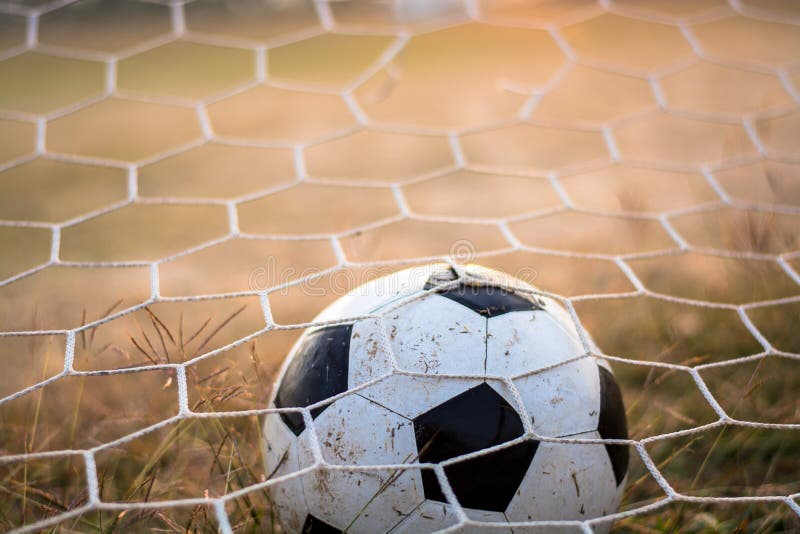Soccer ball in goal stock photo. Image of meadow, lawn - 79413312