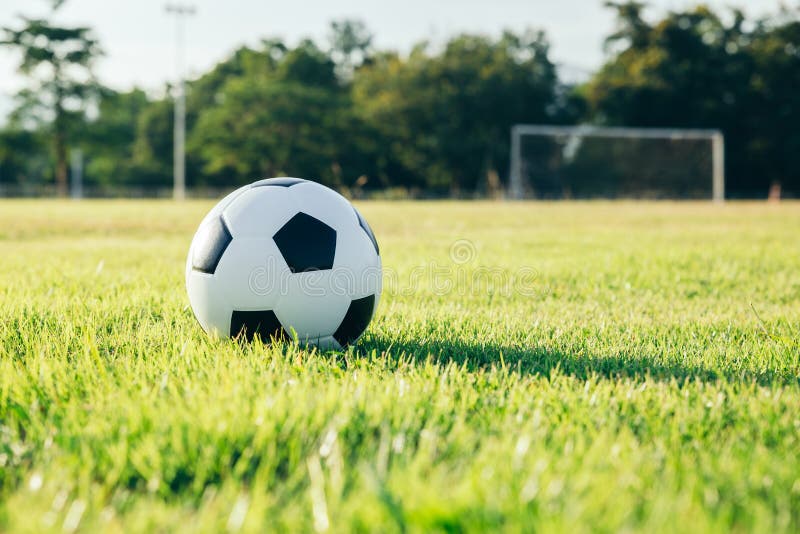 Soccer Ball on Grass Field, Sport Concept Stock Photo - Image of ... Soccer Ball on Grass Field, Sport Concept Stock Photo - Image of ...