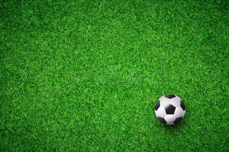 Soccer Ball on the Lawn Top View Stock Image - Image of land, activity ...