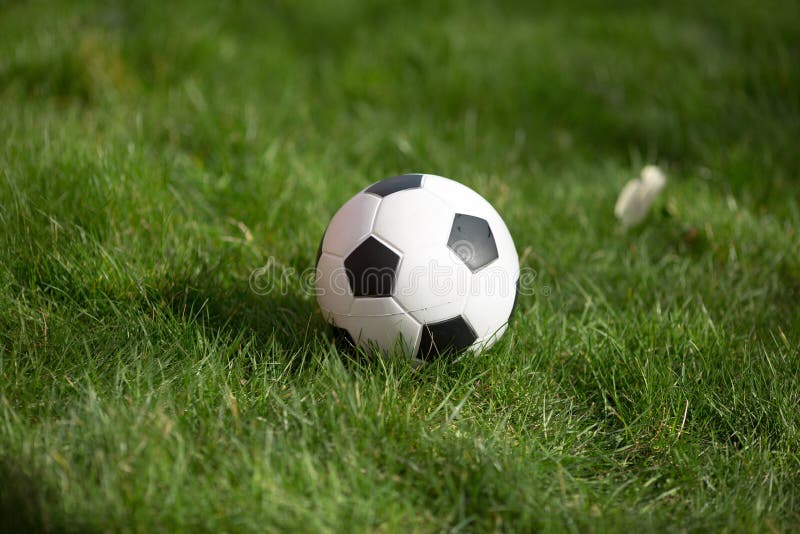 Soccer ball stock image. Image of ball, backyard, frontyard - 39121929