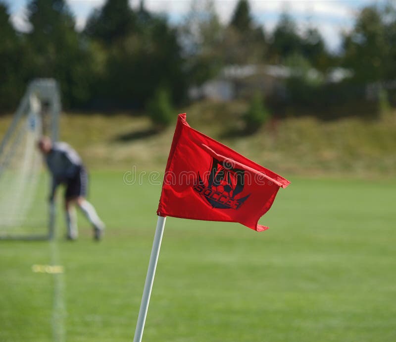 Relay for Life flags editorial stock photo. Image of remember - 14800588