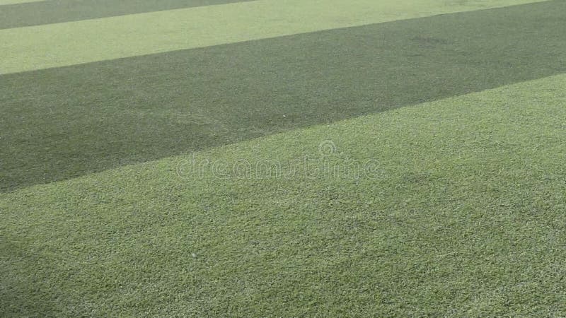 Soccer Field with Artificial Turf in a Stadium Stock Video - Video of ...