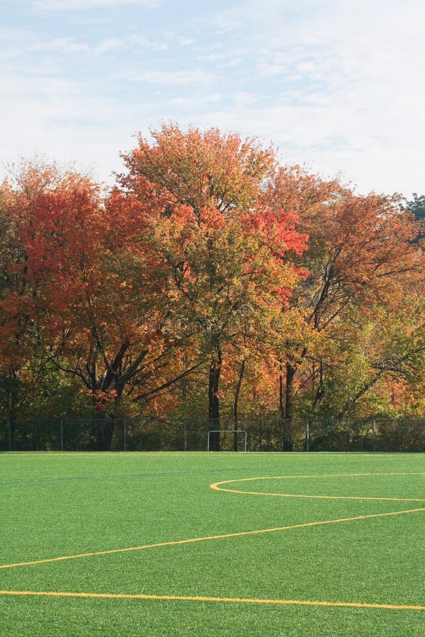 Soccer Field stock photo. Image of soccer, ball, seats - 1314612