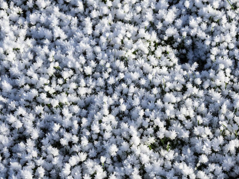 Soccer Field Grass Under Ice. Winter Cold Season Stock Image - Image of ...