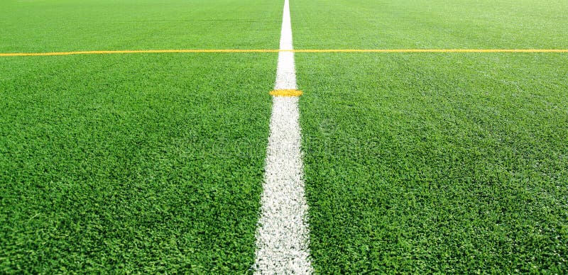 Goal Line stock photo. Image of turf, blades, grass, line - 11563806