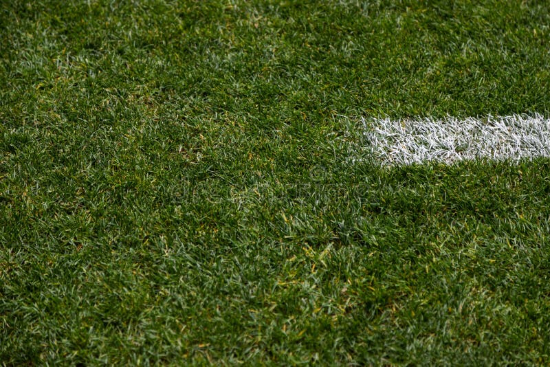 Soccer Field Line Detail for Backgrounds or Texture Stock Image - Image ...