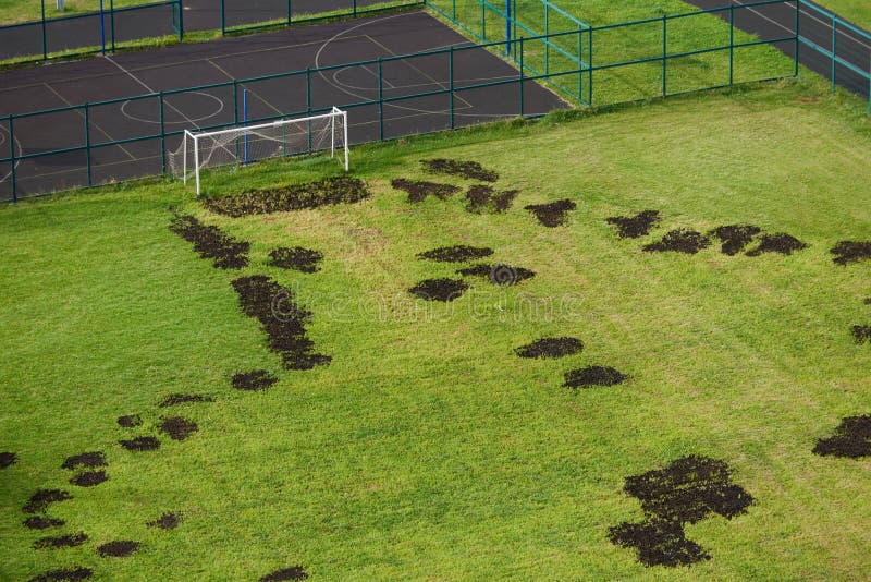 A Soccer Field with Spoiled Grass Stock Image - Image of outdoor, field ...