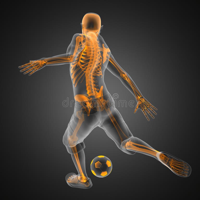 Football Player Anatomy Stock Illustrations – 182 Football Player ...