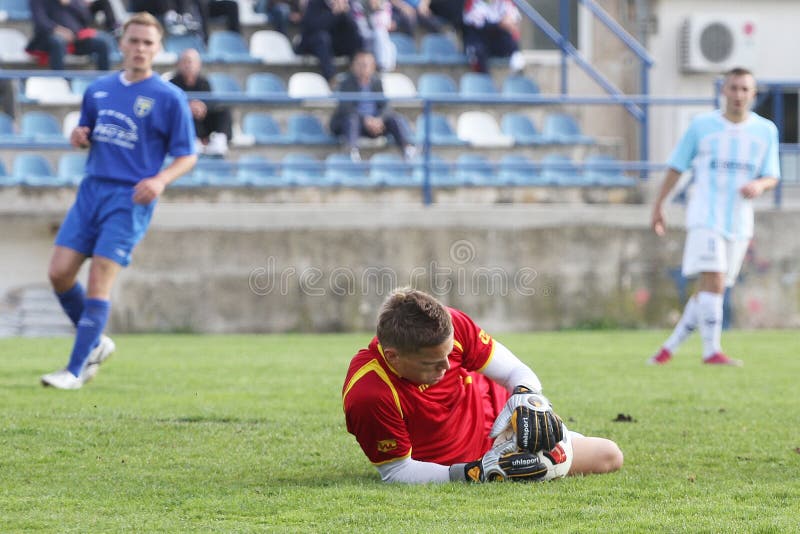 Soccer Line Referee (close Up) Editorial Photo - Image of symbol, green ...