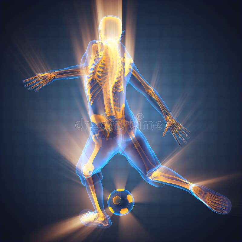 Anatomical Soccer Player stock illustration. Illustration of isolated ...