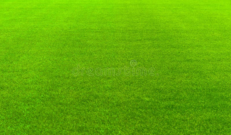 Soccer playing field stock image. Image of pasture, playing - 107286807